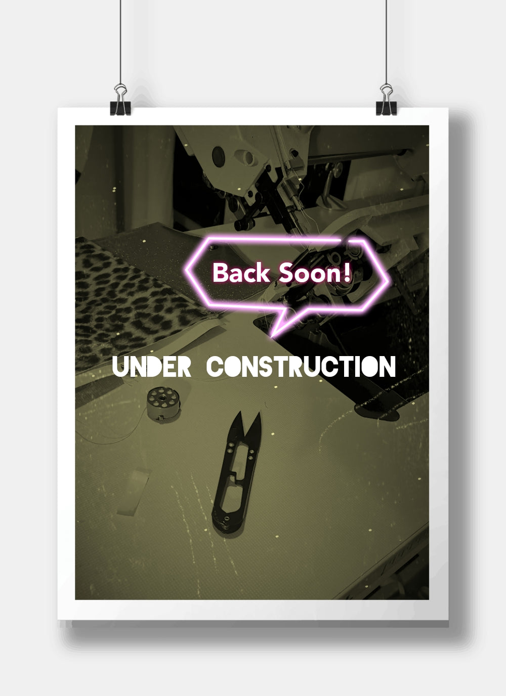 Trophy Queen | Official Home Page